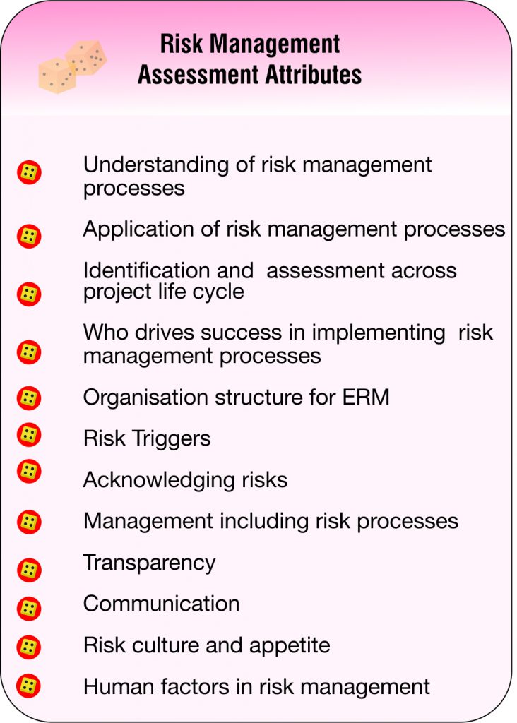 Risk Management Assessment Attributes | CEPM